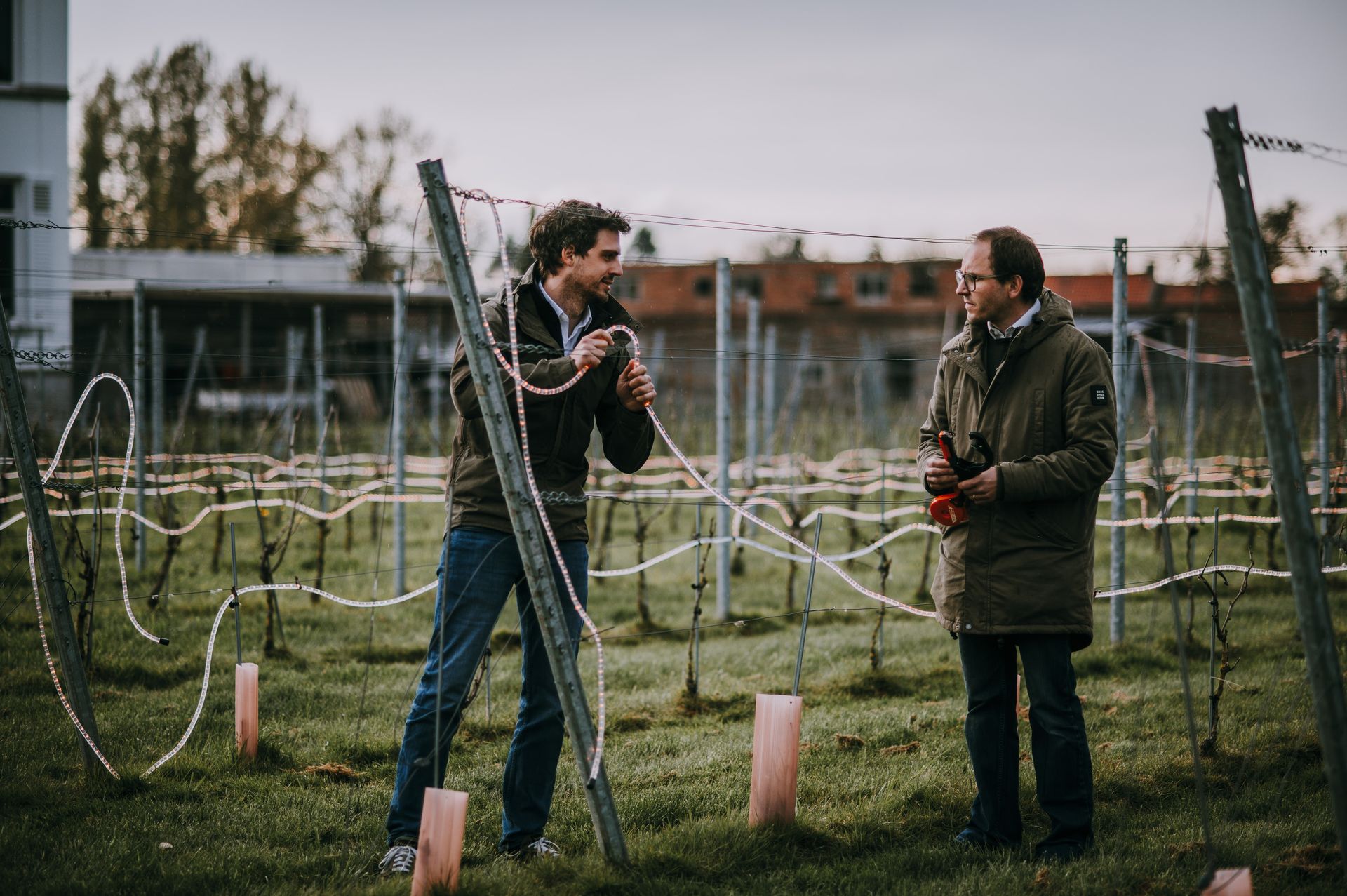 About Us | Frolight - Infrared Frost Protection Systems